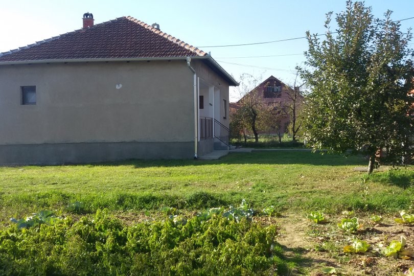 Prodajem kucu Krusevac - Netoglasi.net